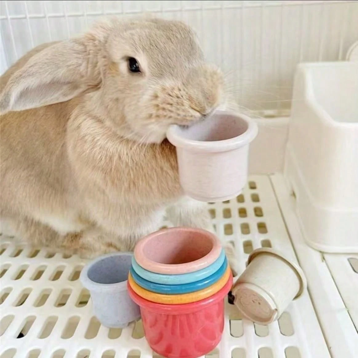 Stackable Rabbit Cups, Colorful Small Animals Rich Toys, Interactive ...