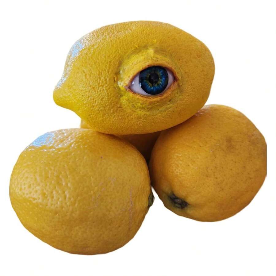 Realistic Life Sized Freaky Fruit All Seeing Lemon, Prop, Horror Prop ...