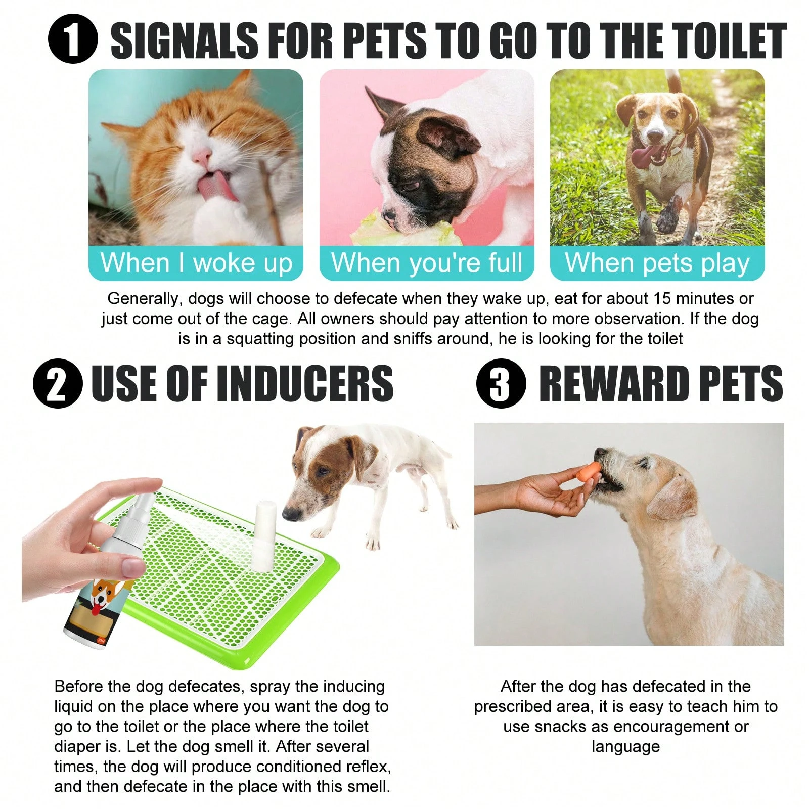 Pet Urination & Defecation Locator Spray, Training Aid For Cats & Dogs ...