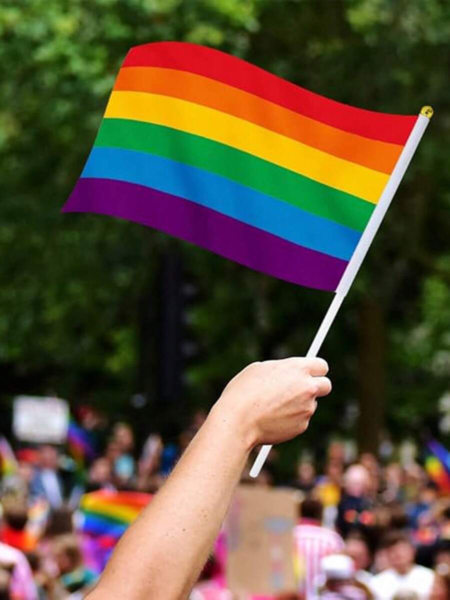 50pcs Six-Color Rainbow Flag Hand-Held Rainbow Flag, Rainbow Pride Flag ...