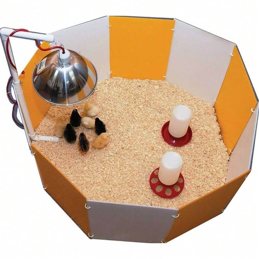 Farm Innovators Baby Chick Starter Home Brooder Pen With Adjustable ...