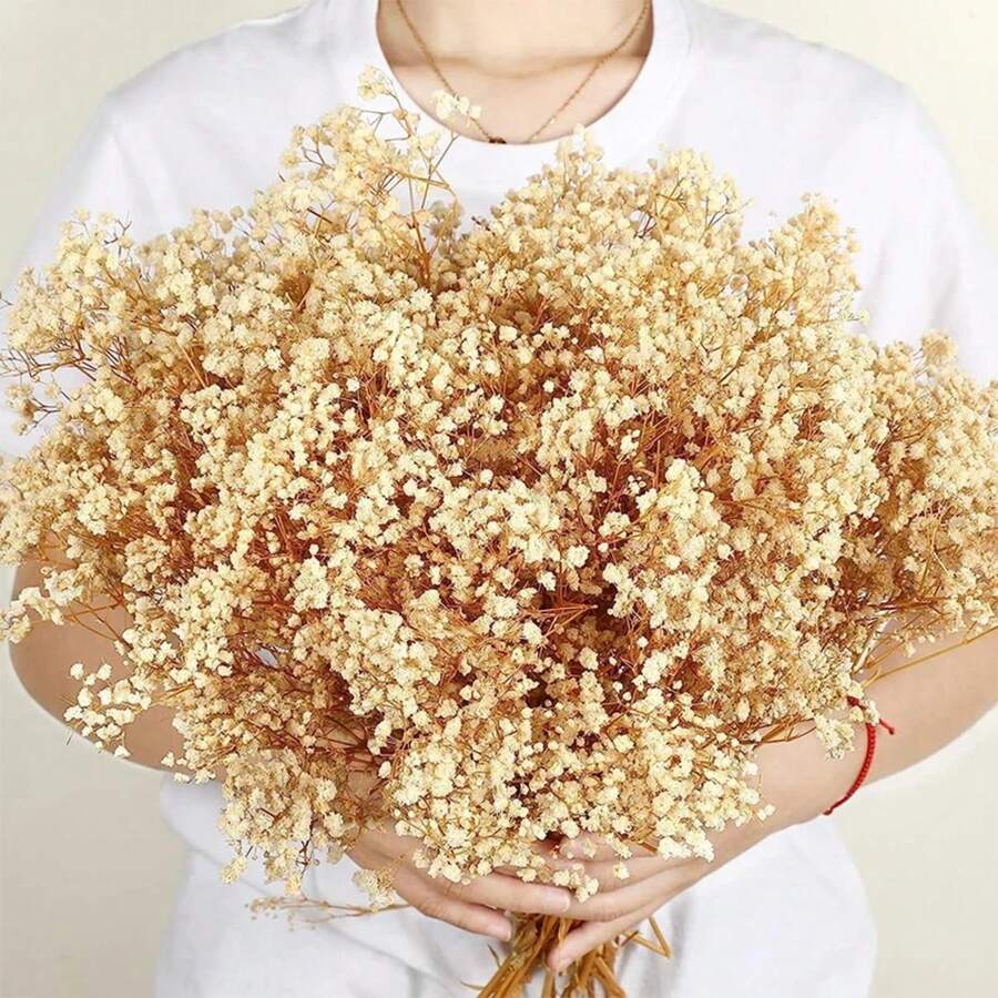 100g Dried Flowers Baby Breath Preserved Flowers Gypsophila Bouquet ...