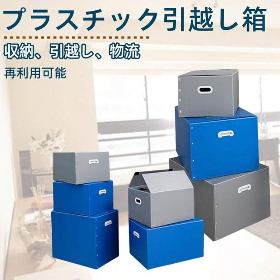 File Storage Boxes | SHEIN USA