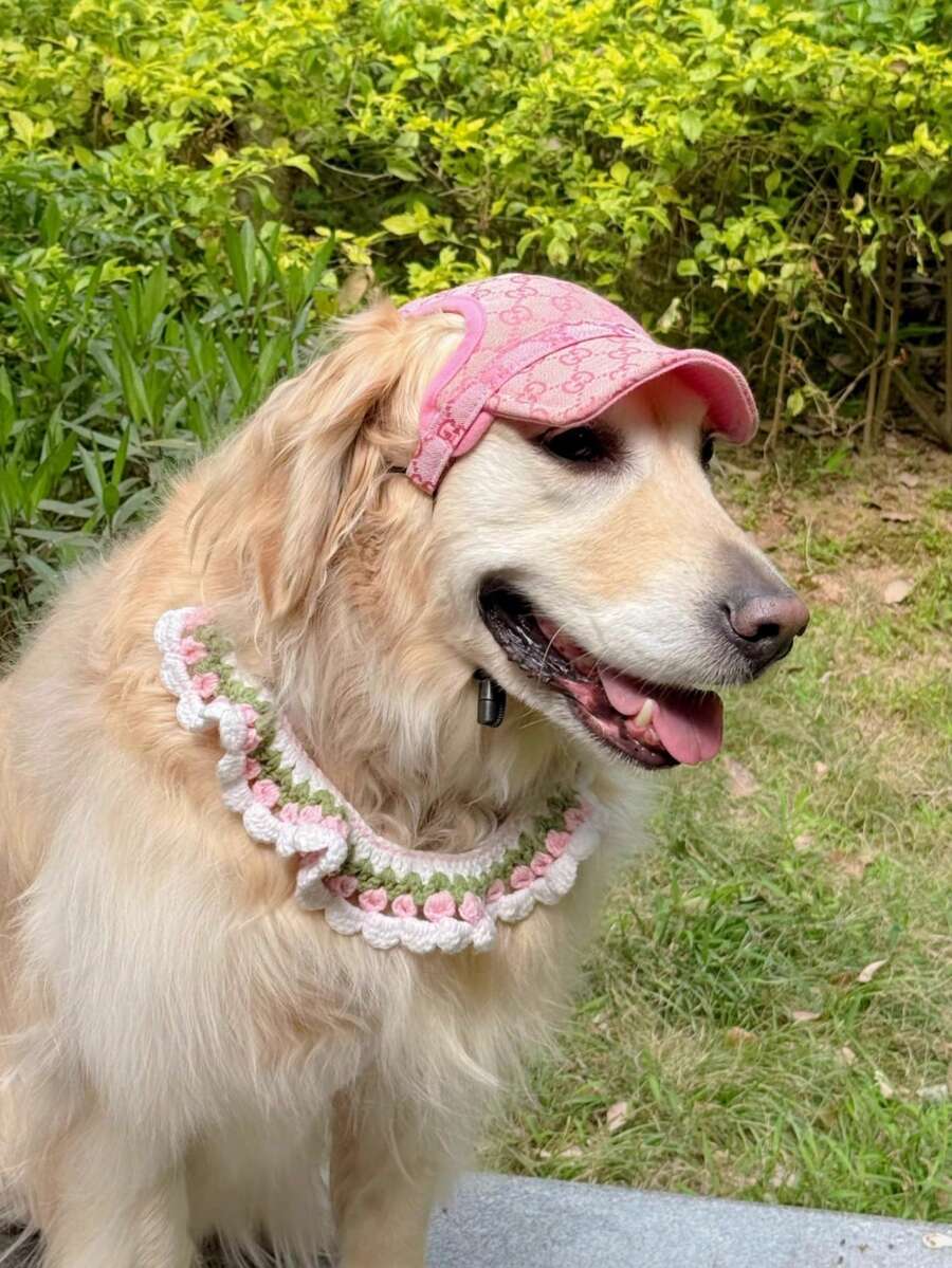 Fashion Pet Baseball Cap Adjustable Dog Hat Suitable For Large, Medium ...