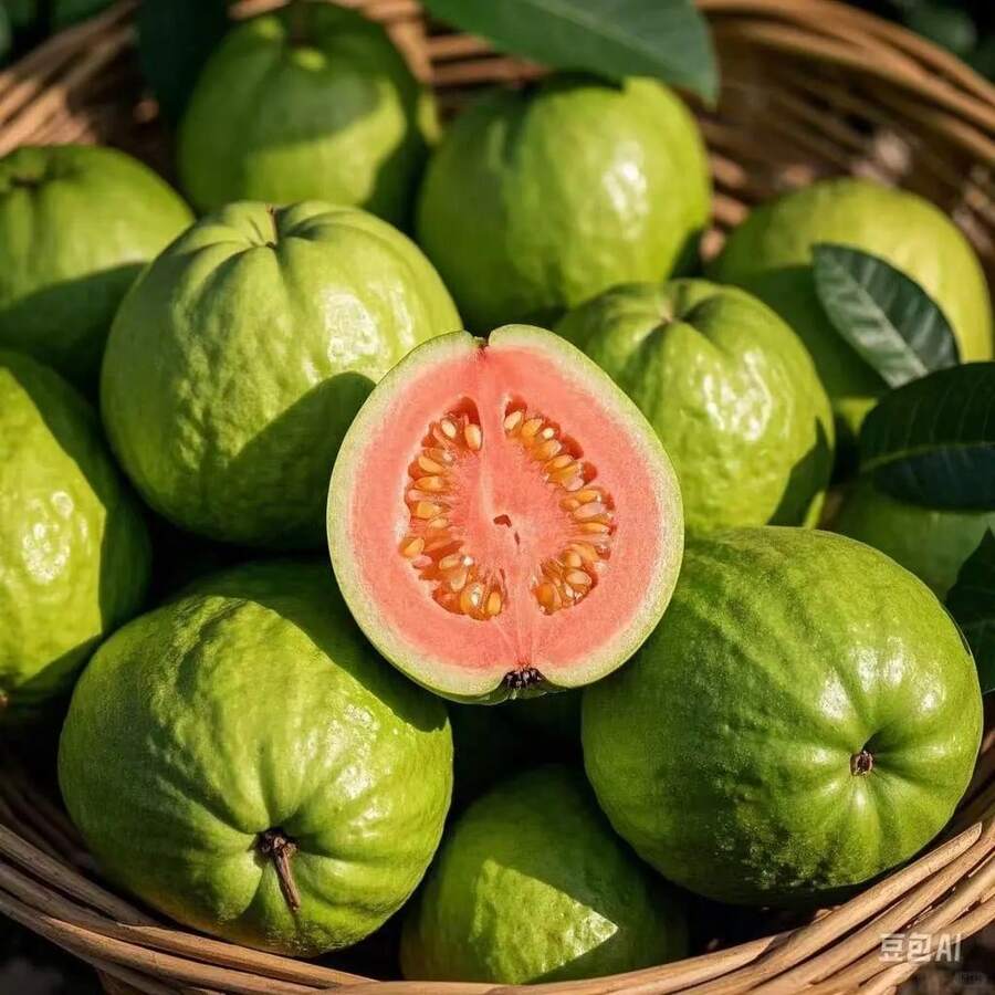 100 Pcs Taiwan Red Guava Seeds | Sweet & Easy-Grow Fruit Tree | Home ...