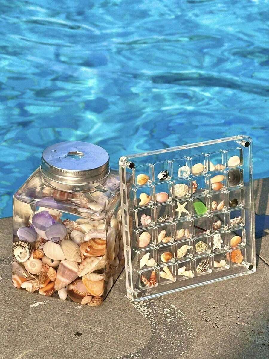 Mini Conch Specimen Collection Acrylic Shell Nail Art Jewelry Storage ...
