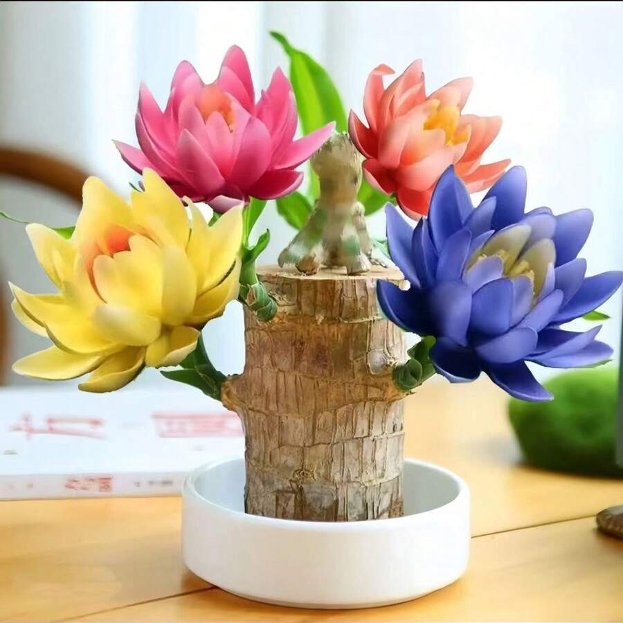Brazilian Lucky Tree - Fortune Tree With Mystery Doll,Wooden Decorative ...