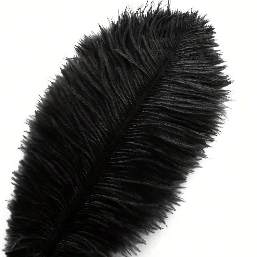 10 Pcs Black Artificial Feathers 14-16 Inch(35-40 Cm) Bulk For DIY ...