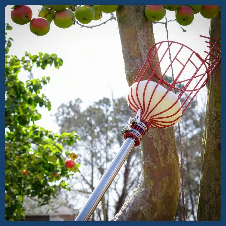 Fruit Picker Pole With Basket Telescoping, Adjustable Pole, Citrus ...