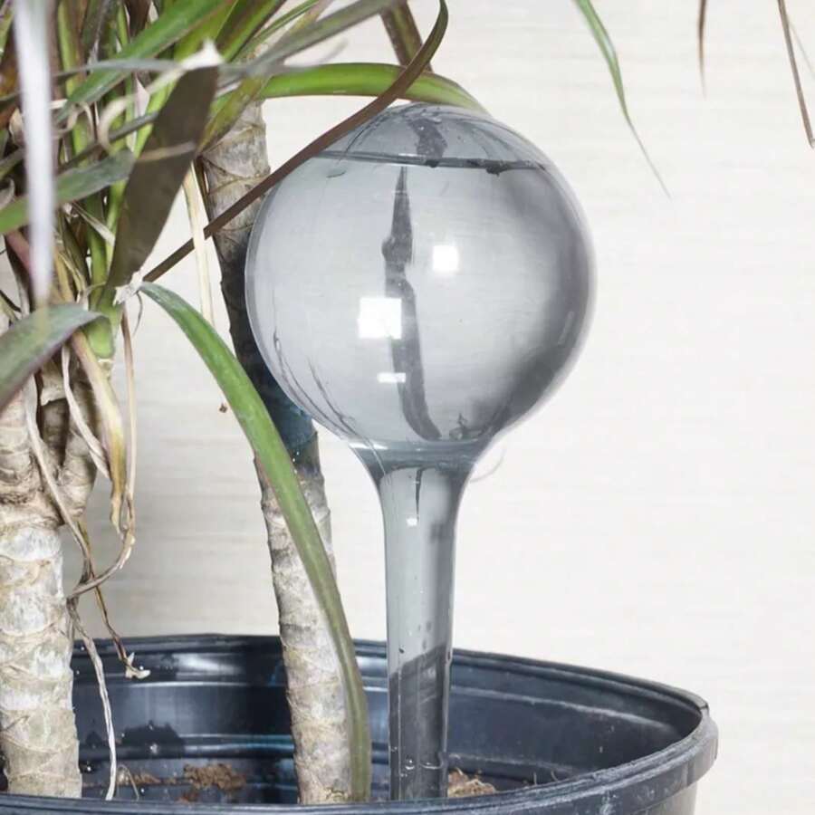 Can Clear Plastic Watering | SHEIN USA