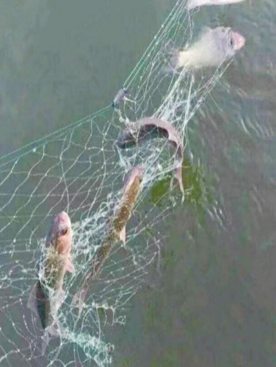 Fishing Net, Suitable For Freshwater Outdoor Fishing Catch | SHEIN USA