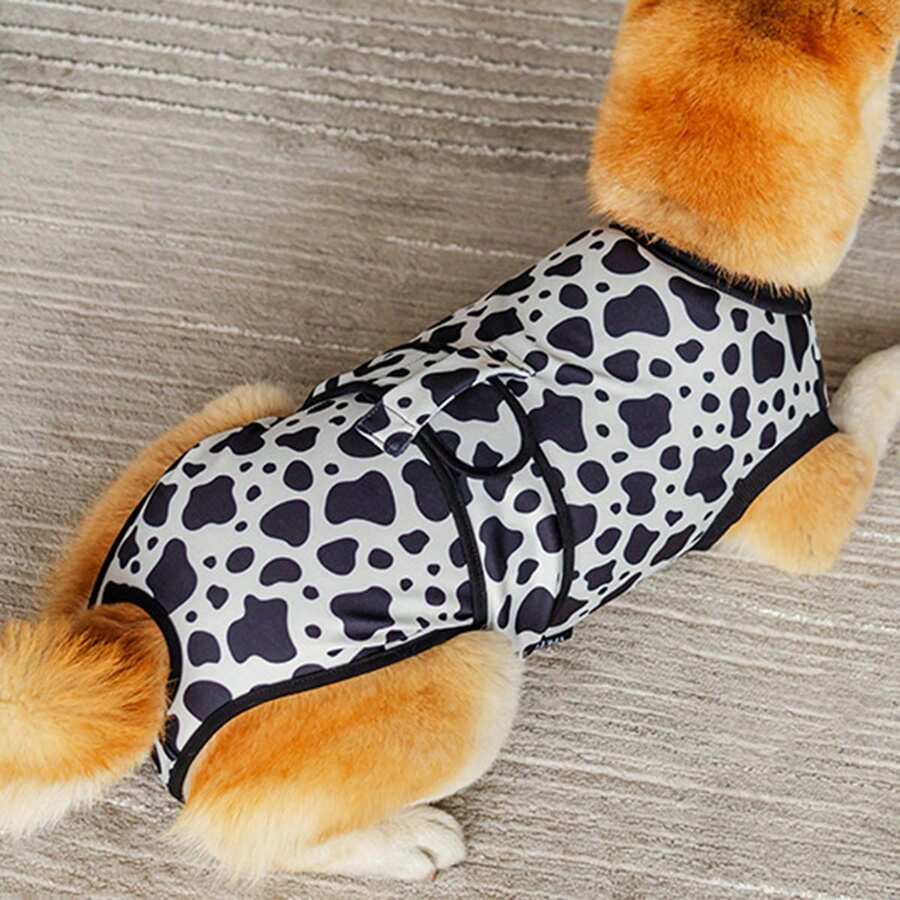 Dog Surgery Recovery Suit, Dog Recovery Suit Female Male, Dog Surgical ...