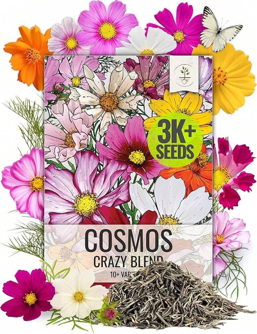 Seed Needs Flower Seeds Cosmos Crazy Blend No Filler 10+ Varieties ...