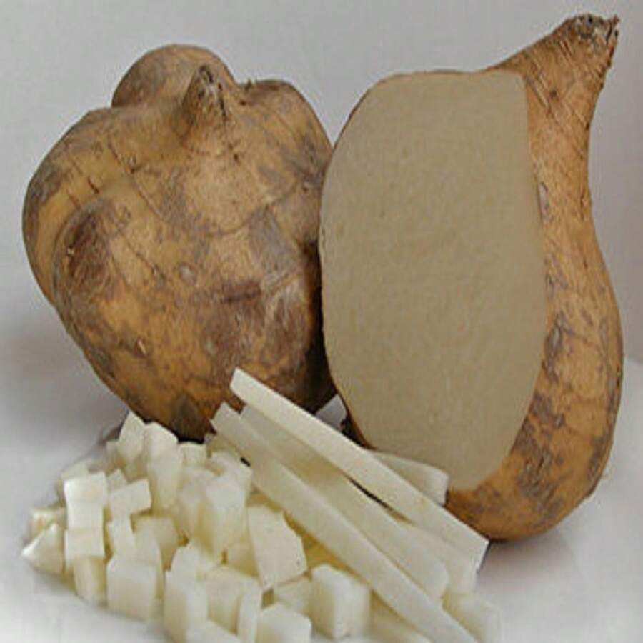 5 semillas de yaca, verduras tailandesas, jícama, nabo mexicano, patata ...