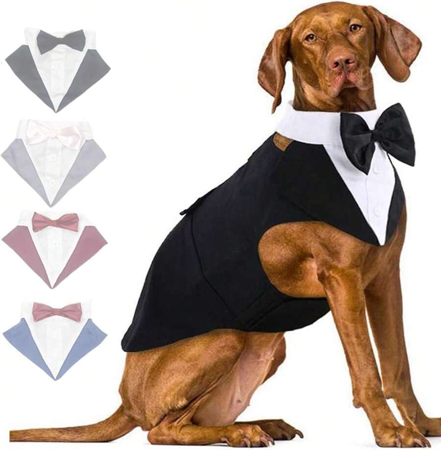 Lamiaraga Black Dog Tuxedo Bowtie Wedding Outfit For Medium Dog ...