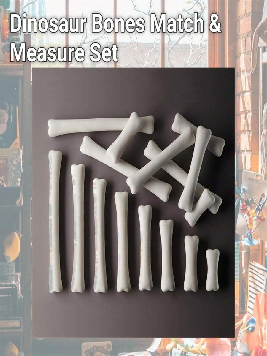 Dinosaur Bones Match & Measure Set | SHEIN USA