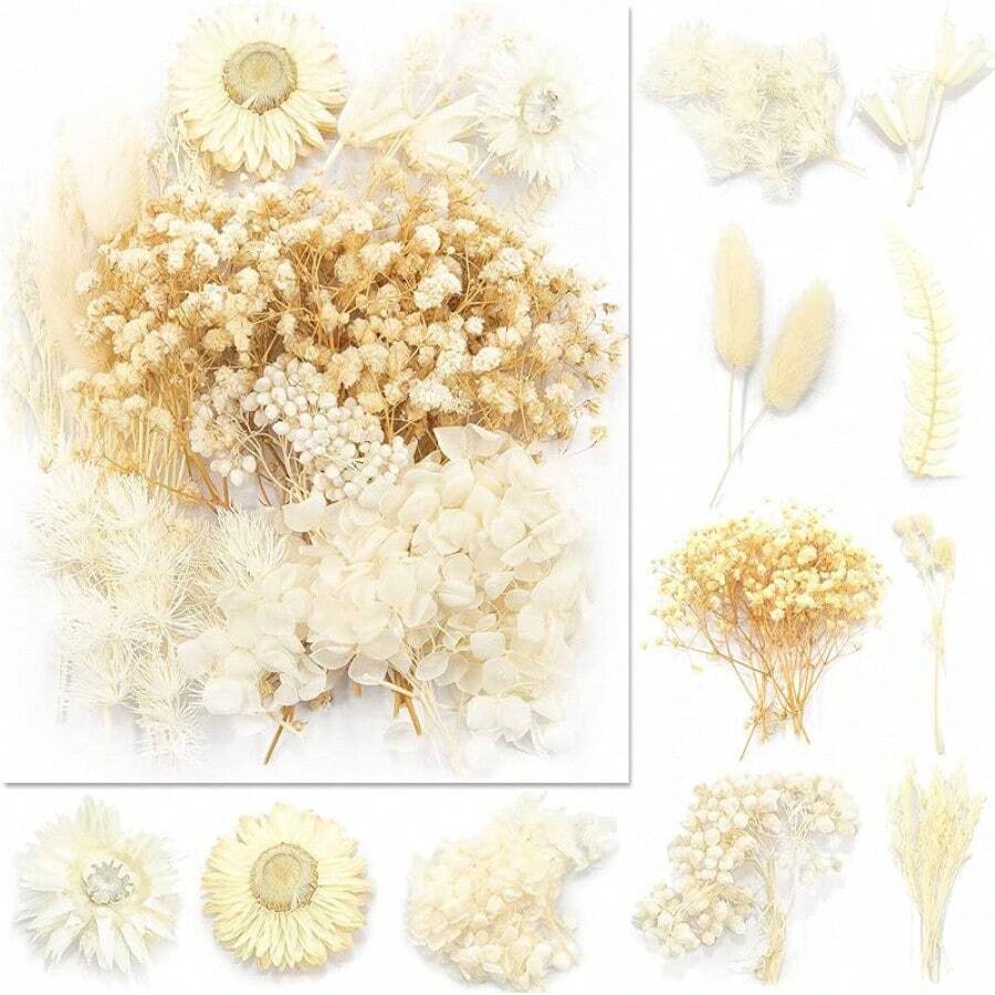 Vignee Real Dried Pressed Leaf Flowers-Multiple Colorful Pressed ...