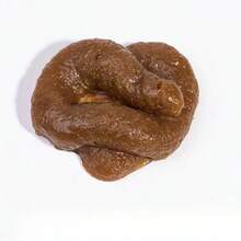 The Ultimate Reward Of The Lucky Digestion Chain'Realistic Poop Fake ...