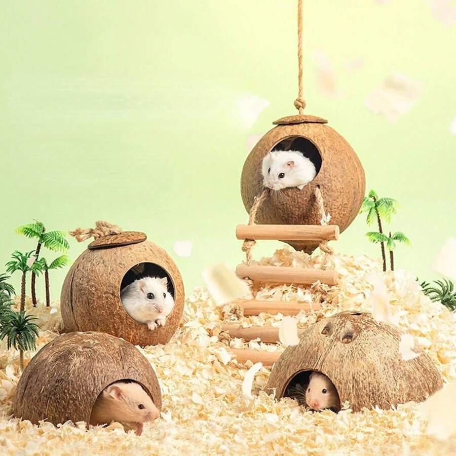 Hamster House Bite-Resistant Natural Small Pet Coconut Cages Guinea-Pig ...