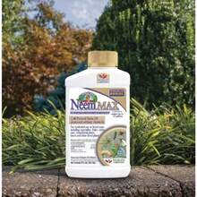 Captain Jack's Neem Max, 8 Oz Concentrated Cold Pressed Neem Oil ...