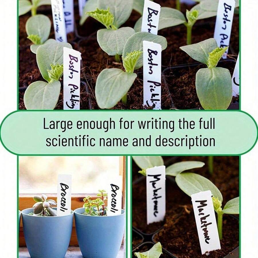 40Pcs Set Plant Markers Plastic Plant Labels Plant Name Tags For ...