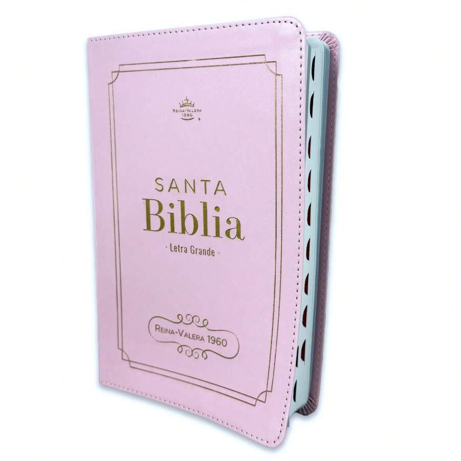 Biblia Clasica Letra Grande 12 Puntos RV1960 Imit Piel Rosada Con Indice | Mode en ligne | SHEIN ...