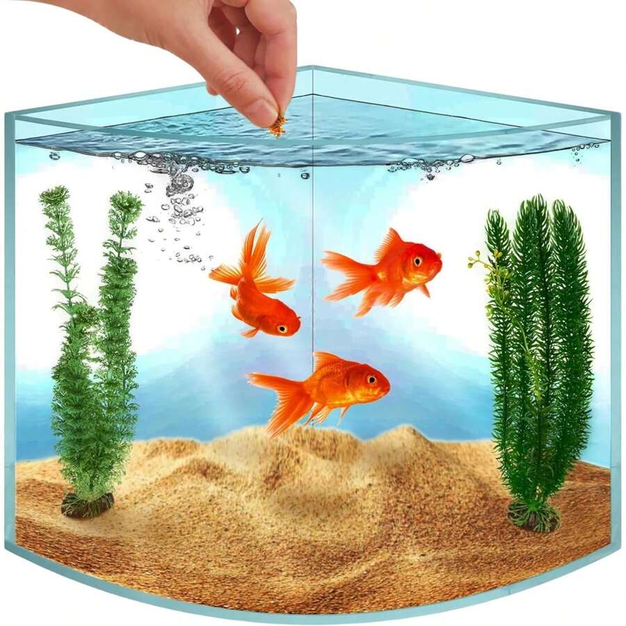 Corner Fish Tank, Fish Tank, Corner Aquarium For Real Life Fish ...