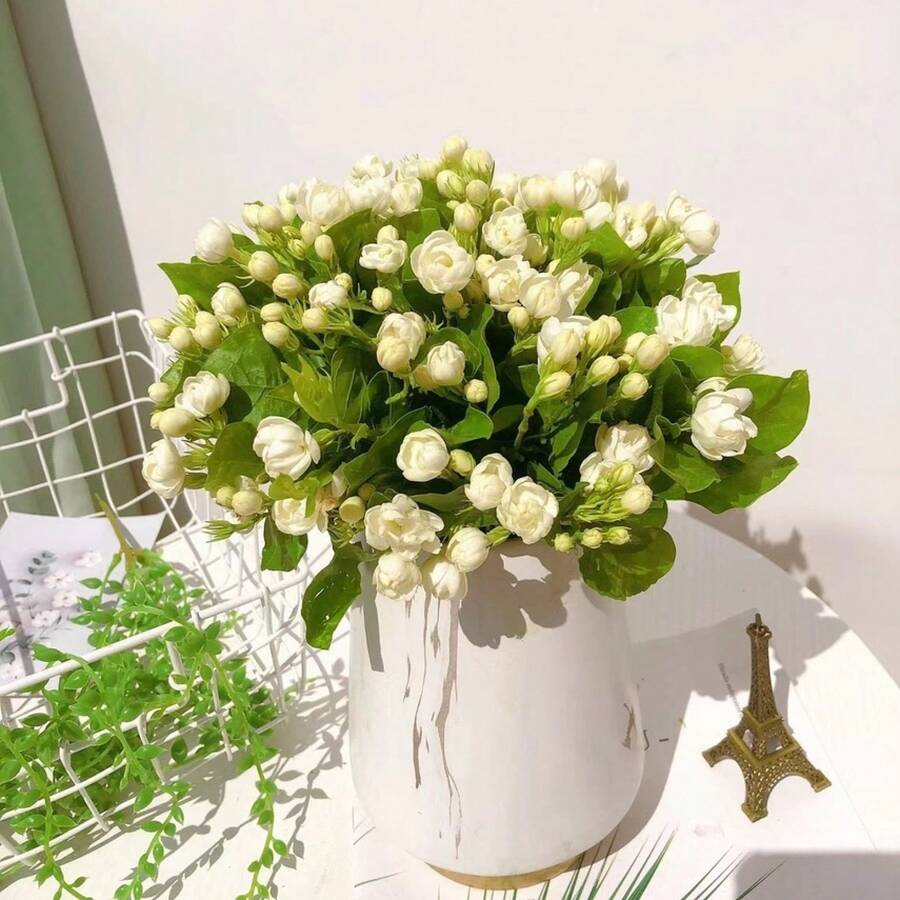 Pianta di gelsomino della belladonna - Attira impollinatori con il ...