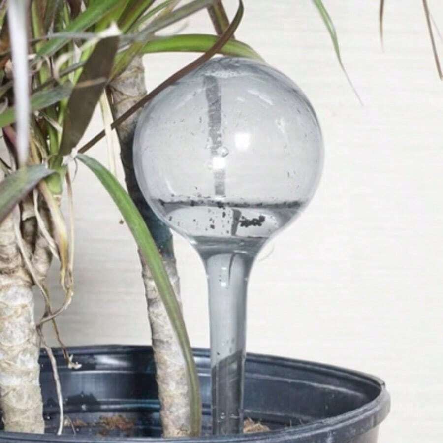 Orb Plastic Watering Can Clear | SHEIN USA