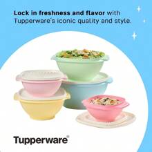 Tupperware Heritage Collection 10 Piece Storage Container Set In ...