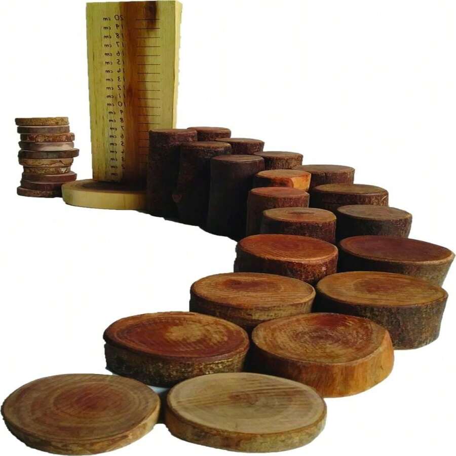 Tree-Themed Math Set With Ruler - Educational Geometry Tools For Kids ...