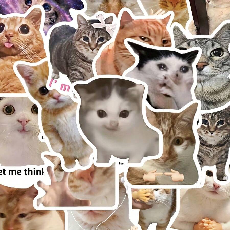 50Pcs SCXXBSW Cat Meme Stickers - Waterproof PVC Stickers For Laptops ...