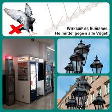 COSANSYS 2025 Pigeon Repellent Bird Spikes Stainless Steel Bird ...