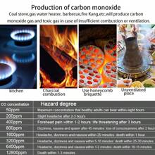 2-Pack Carbon Monoxide Detector, Battery-Powered Carbon Monoxide Alarm ...