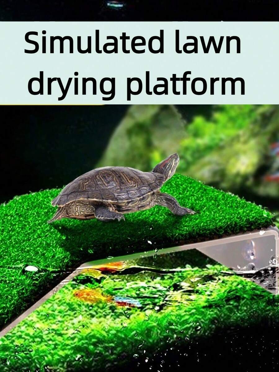 Brazilian Turtle Sun Terrace Grass Lawn Climbing Platform Crawler ...