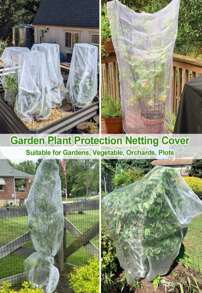 Wohohoho 66 X 66ft Large Fruits Tree Netting, Insect Bird Barrier Tree Net With Drawstring And ...