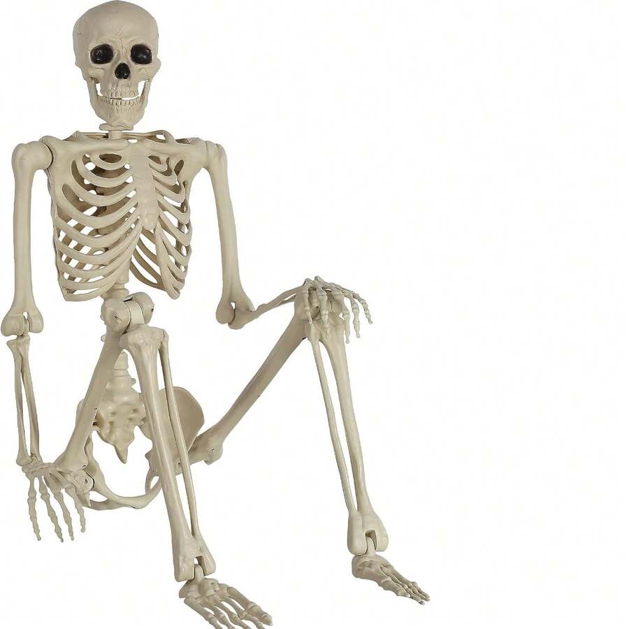5.4Ft Posable Life Size Human Adult Skeletons Plastic Human Bones With ...