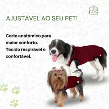 Post-Surgical Suplex Coverall For Dogs And Cats With UV Protection ...