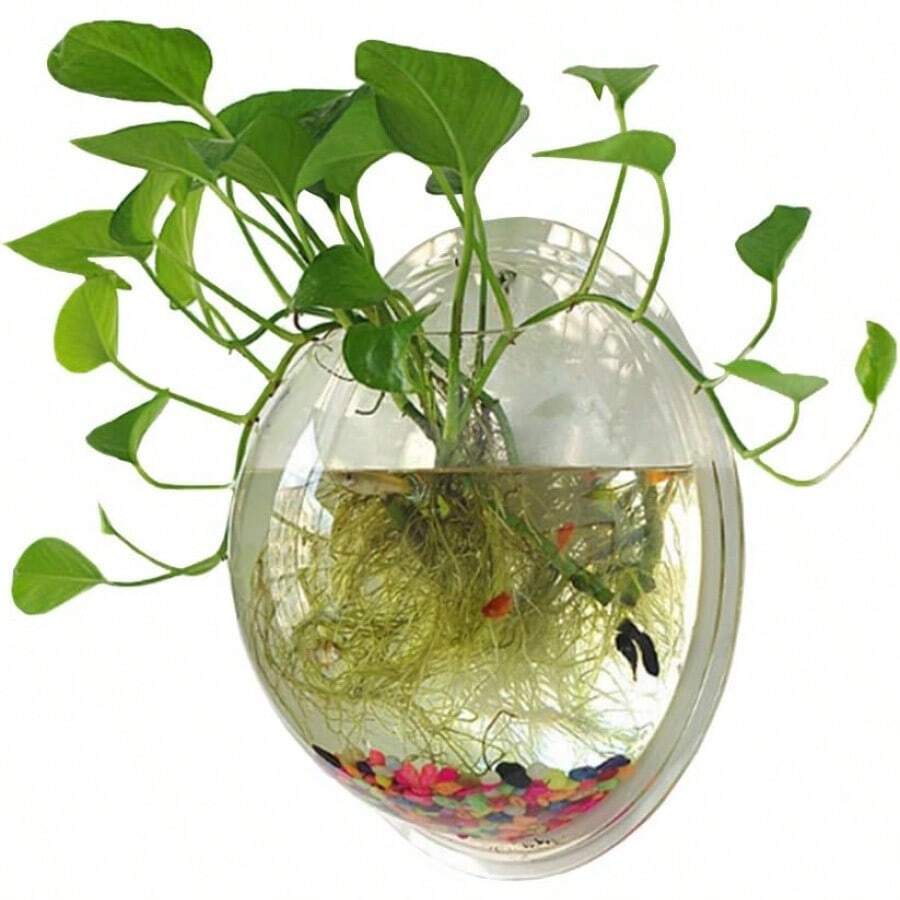 Hanging Wall Mounted 1 Gallon Fish Bowl Aquarium Wall Decor Plant Fish ...