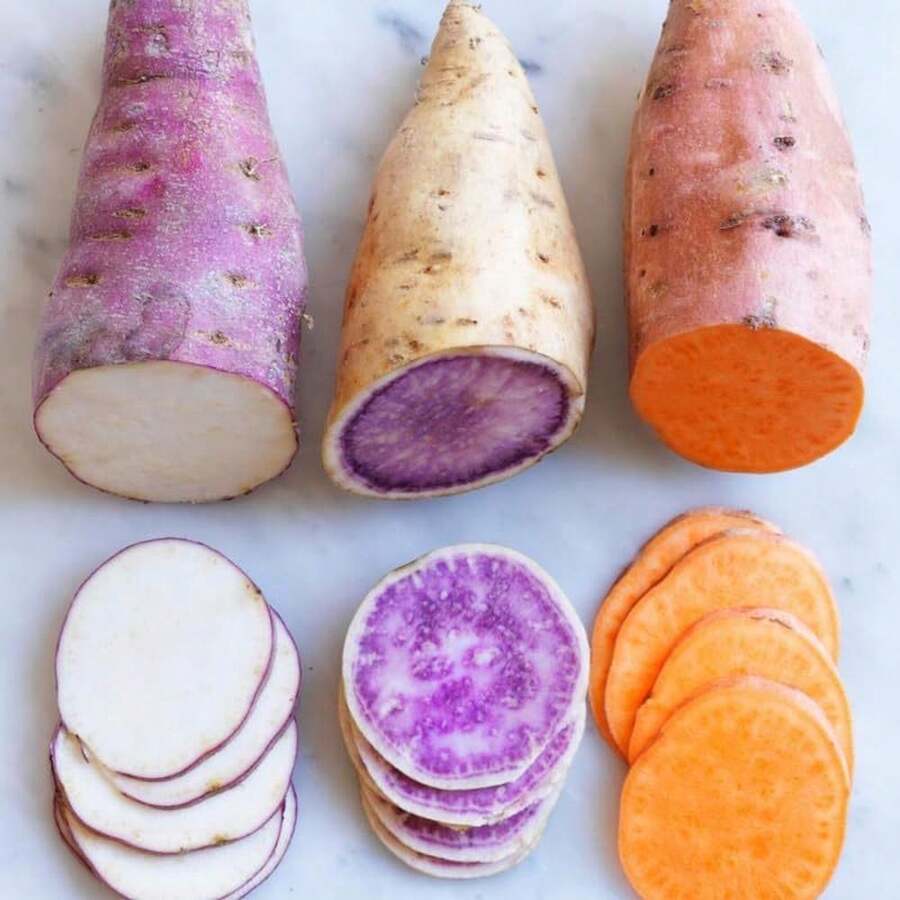 Sweet Potato Slips For Growing - 3 Types - White, Purple, Orange - 3 ...