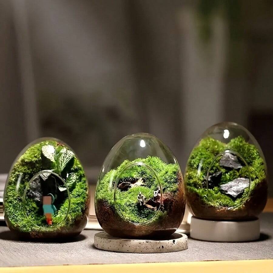 1pc Elegant Egg-Shaped Glass Terrarium - Perfect For Succulents ...