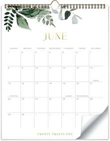 Aesthetic 2025-2026 Wall Calendar - Runs From June 2025 Until December ...