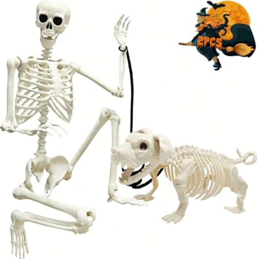 5.4ft Skeleton Halloween Decoration Life Full Size Skeleton With Dog ...