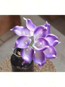 Cold And Heat Resistant 30 Rare Purple And White Calla Lily Exquisite ...
