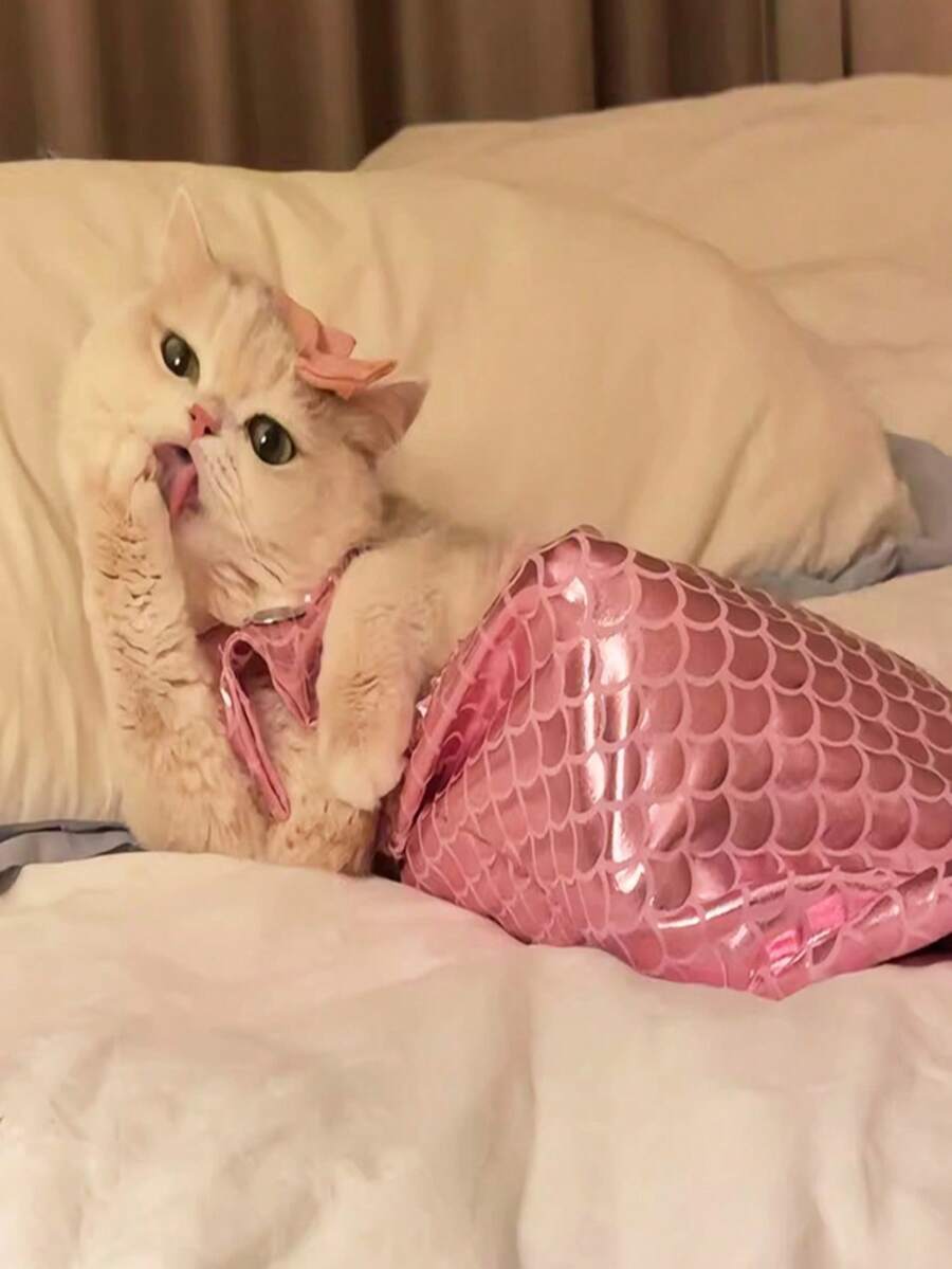 Mermaid Costume Funny Pet Cat Clothes, Decorative Bizarre Outfit For ...