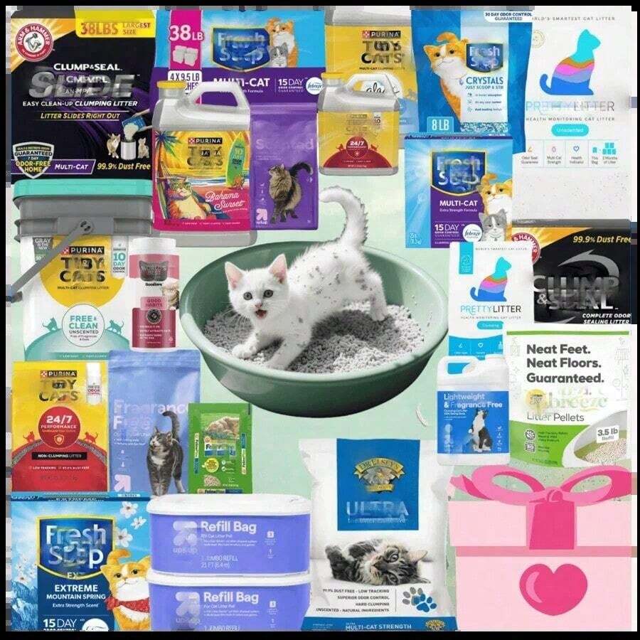 [Unboxing Addiction Alert!] Cat Litter Blind Box – Randomly Dispatched ...