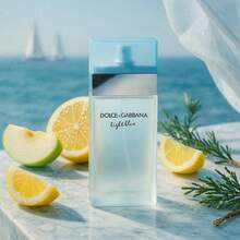 Fragrance World DOLCE & GABBANA – LIGHT BLUE – EAU DE TOILETTE 100ML ...