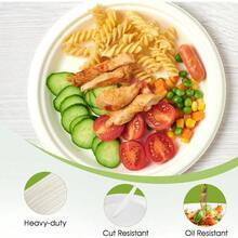 100% Compostable 10 Inch Heavy Duty Paper Plates 150 Pack Disposable ...