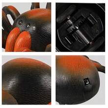 Remote Control Spider For Kids, LED Eyes, Realistic Animal Design ...