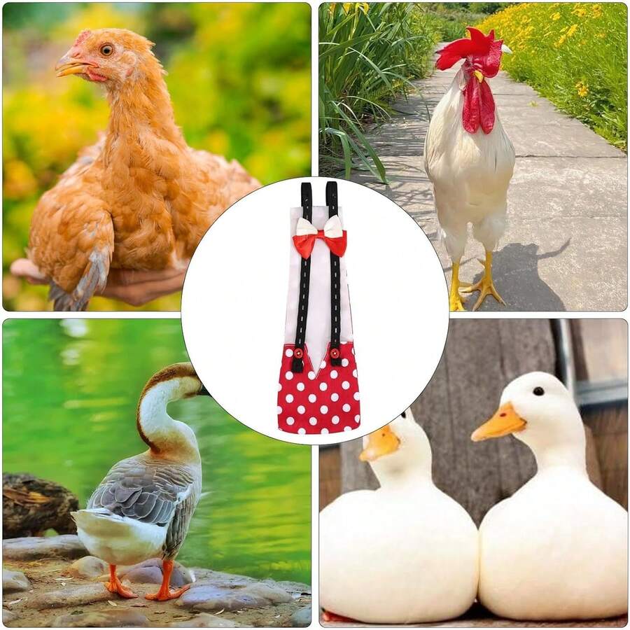 Duck Diapers - Waterproof Duck Diaper - Adjustable Chicken Diapers ...